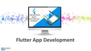 Flutter App Development e-book in English by Steveroger1508